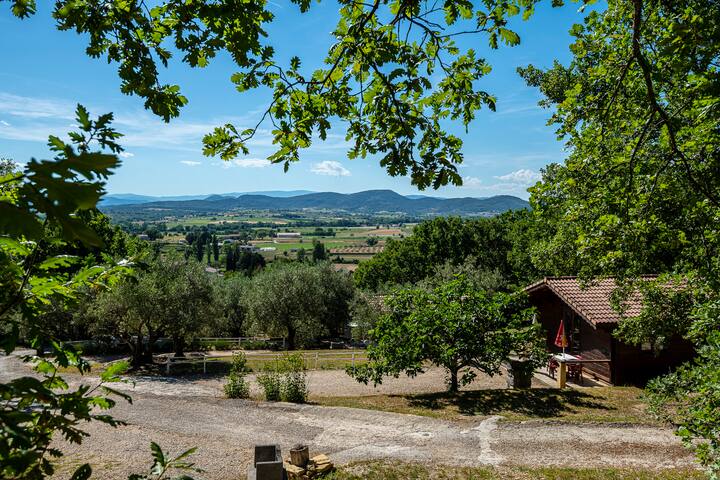 Chalet Ardéche Du Sud  Dans La Vallée De La Cèze - Barjac