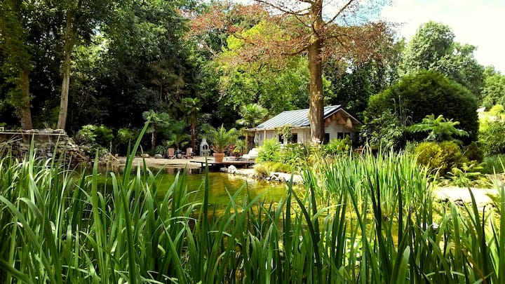 Coco Cabin
•Beach
•Hottub
•Natural Pool
•Waterfall - Netherlands