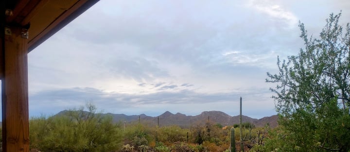 Desert Oasis Privacy, Secluded, Safe Neighborhood - Arizona-Sonora Desert Museum