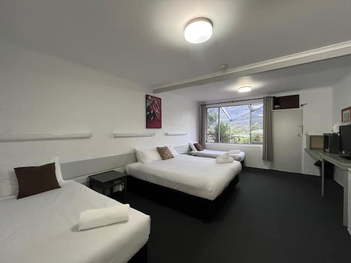 Family Room For 2 Adults+ 2 Kids - Halls Gap