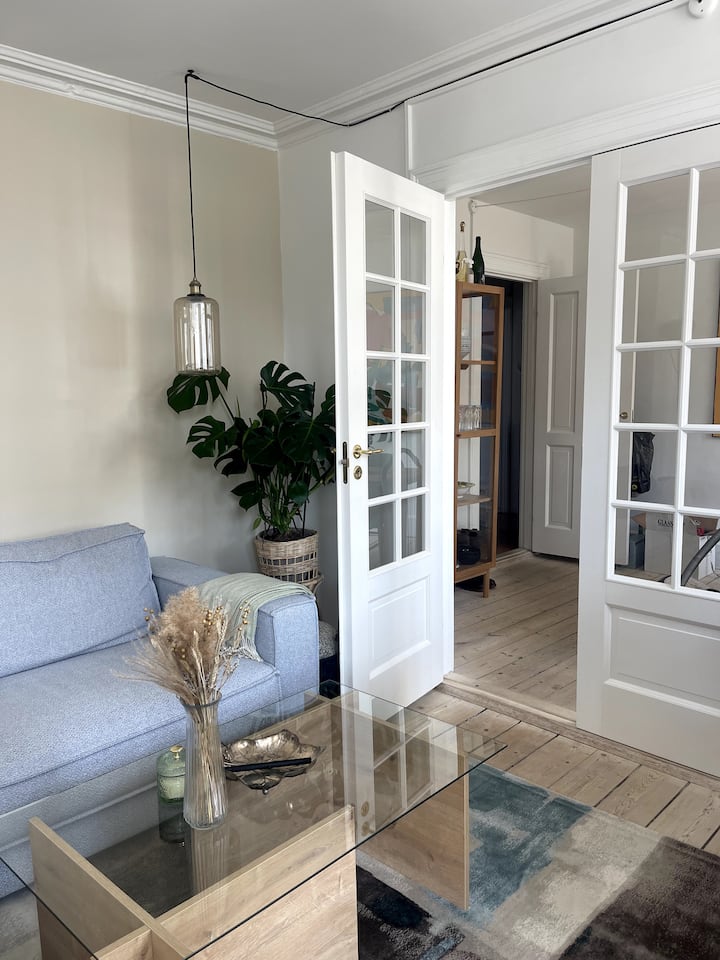 Stilfuld Og Rummelig Lejlighed - Copenaghen