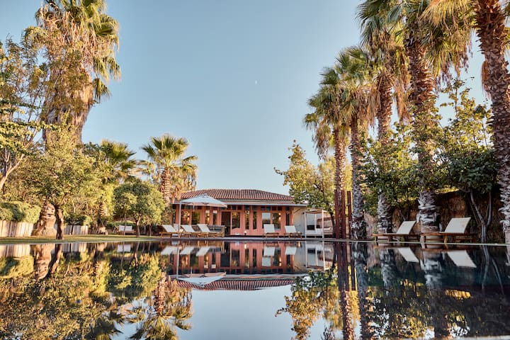 Jungle Eva Bodrum - Torba