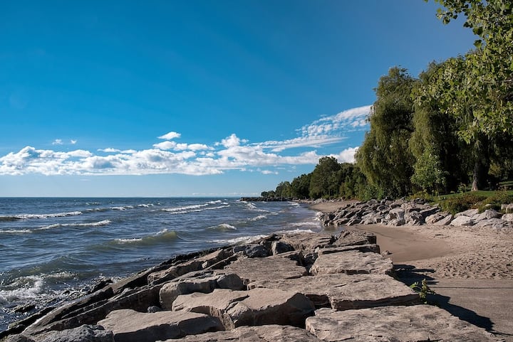 Pvt Room With In Room 1/2 Bath Nurses/contractors - Rochester, NY