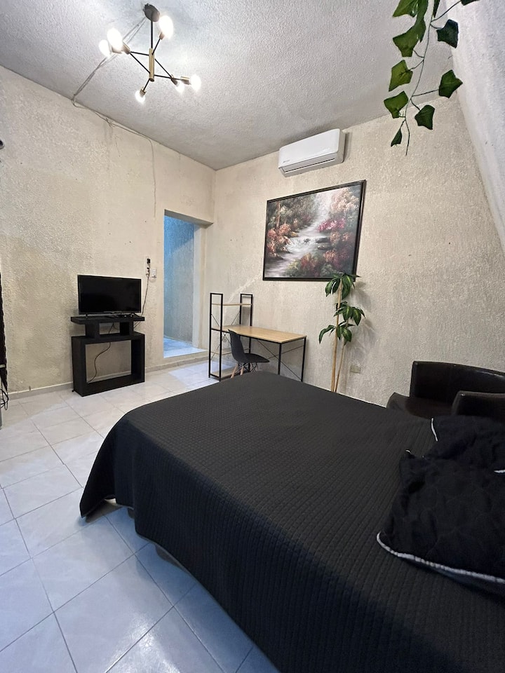 Depa Cerca Tec De Monterrey - Monterrey