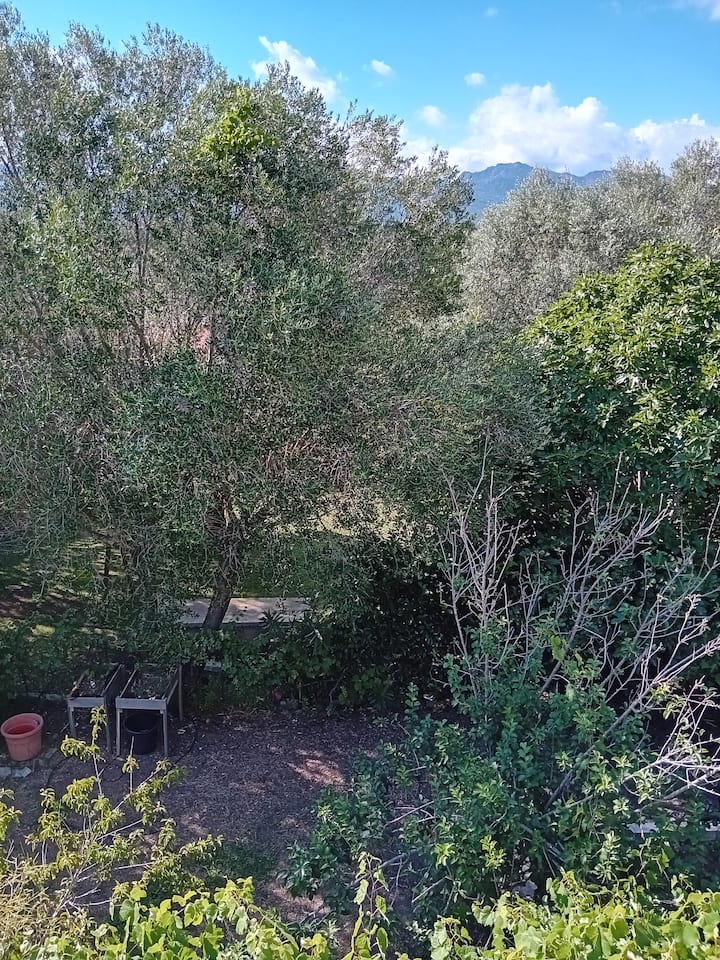 Bel Appartement Avec Terrasse - Porto-Vecchio