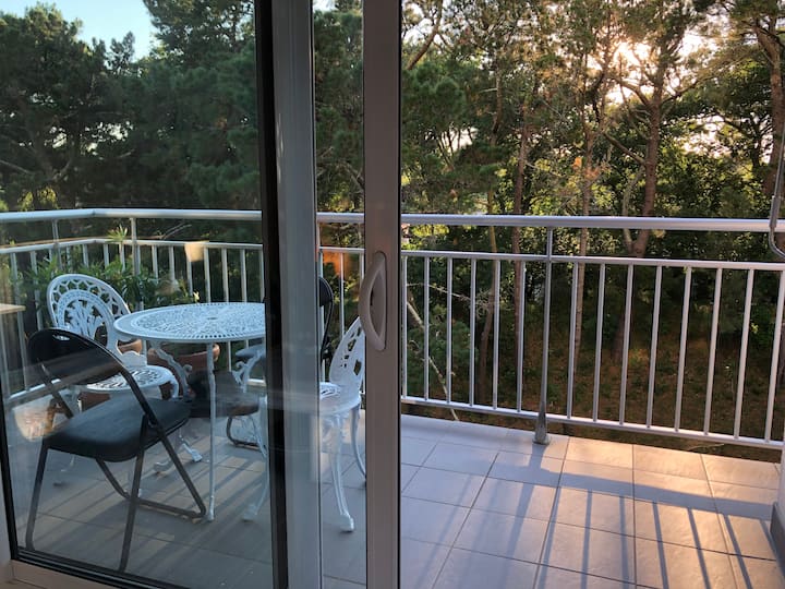 Appartement Calme Dans Un Parc Proche Cv - Arcachon