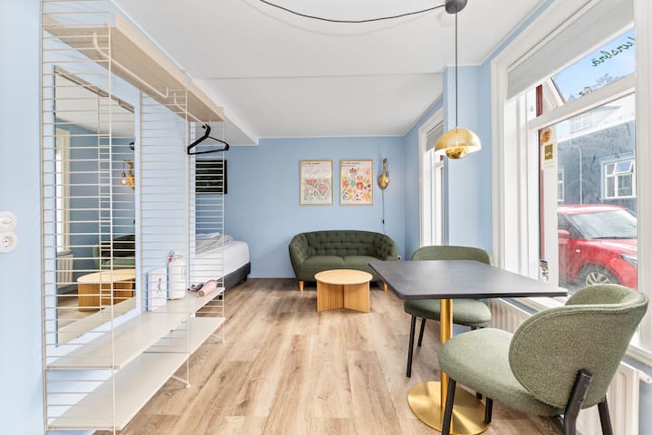 Central Studio Apartment - Reykjavík