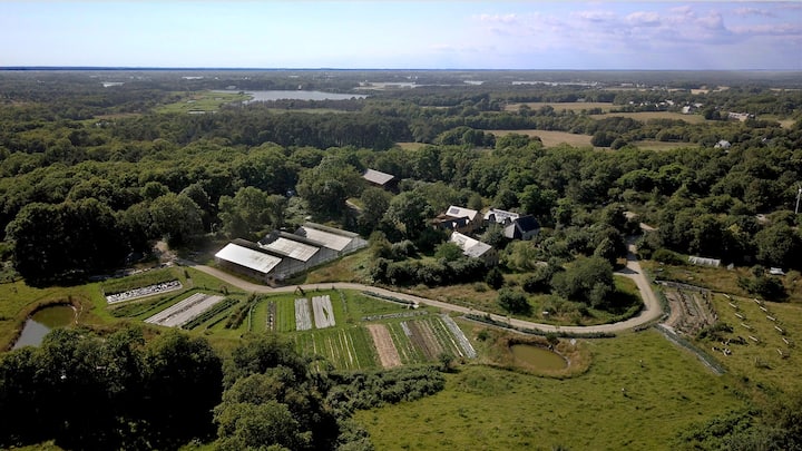 Petit Gîte éCovillage Keruzerh - Auray