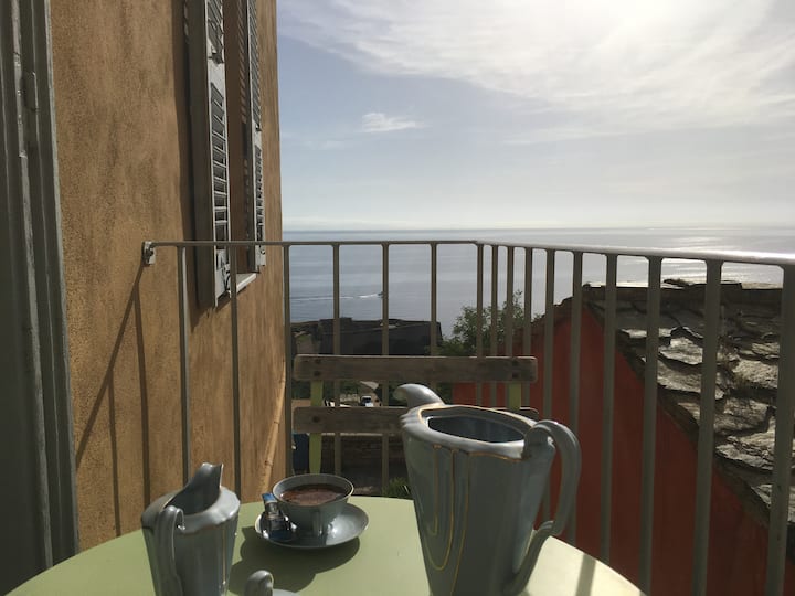 Vue Mer Bastia Citadelle - Bastia
