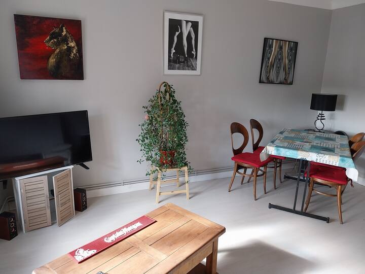 Appartement Lumineux Sur Le Foirail - Saint-Chély-d'Apcher