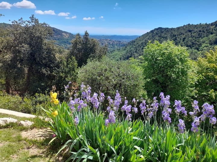 Carpe Diem At Cabris - Grasse
