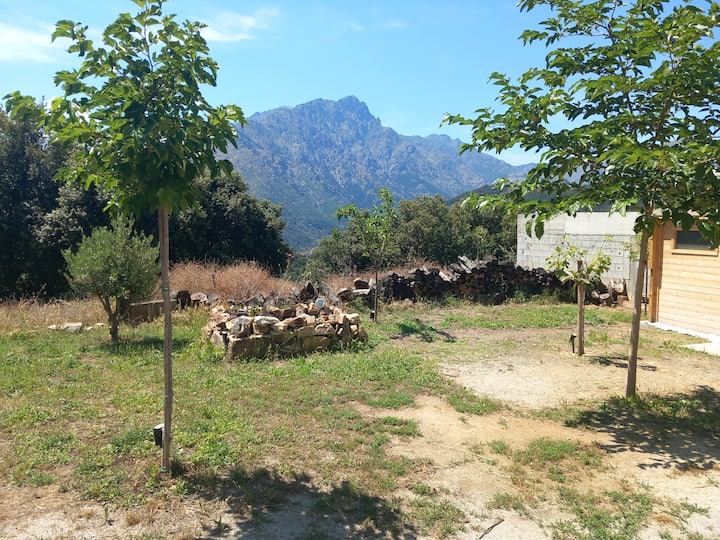 Location Maison Olmi Cappella - Asco