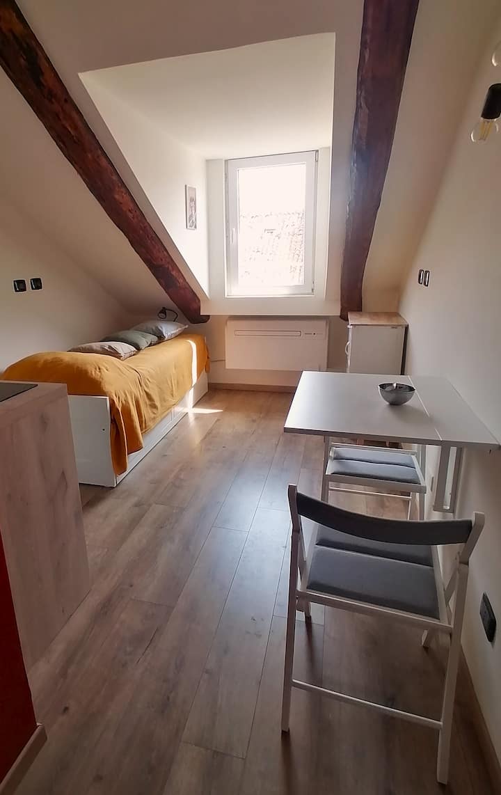 Crocetta Porta Susa Attic, In The Centre Of Turin - Stresa