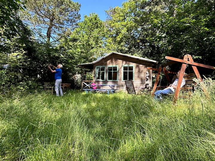Fijn Huisje Op Camping Bakkum - Castricum