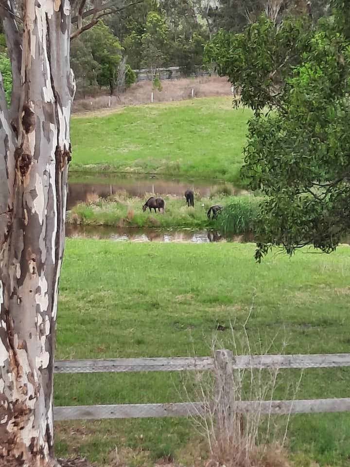 Bairnsdale -
Granite Creek Horse Stay - Bairnsdale