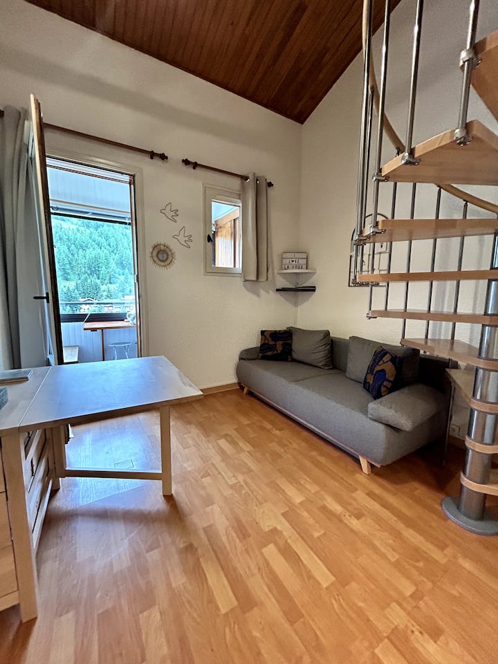 Duplex Centre La Foux Belle Vue Hiver Montagne - La Foux d'Allos