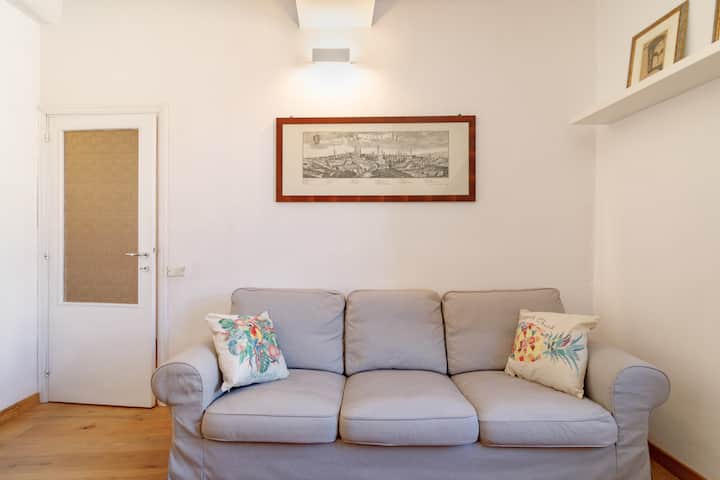 Apartment In Siena's Historic Center - Siena
