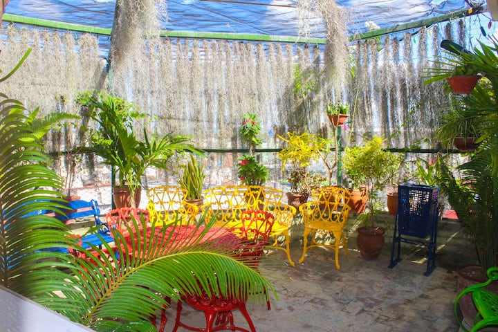 Appartement Cool Sur Le Boulevard - Cuba