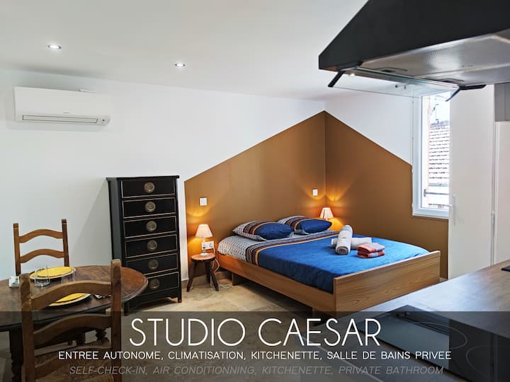 Studio Caesar - Climatisation - Camargue