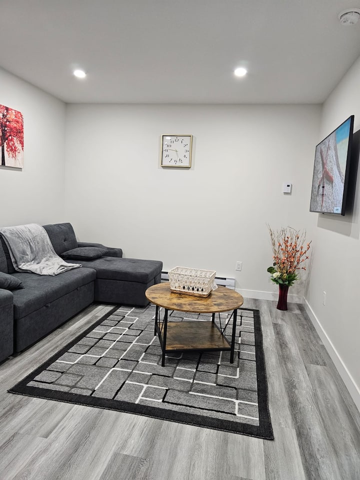 Brand New Fully Furnished Suite - Regina