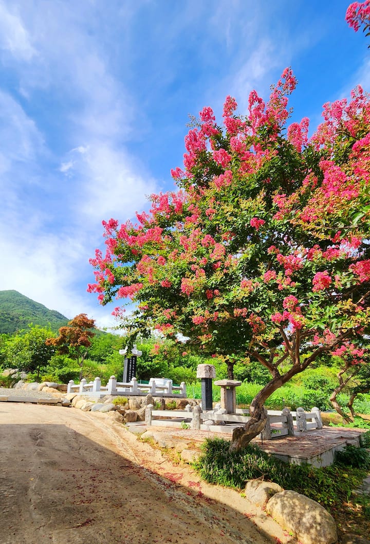 우리만의 공간
"봉계리 549"
단독으로 사용하는 독채형 숙소입니다. - Jinju