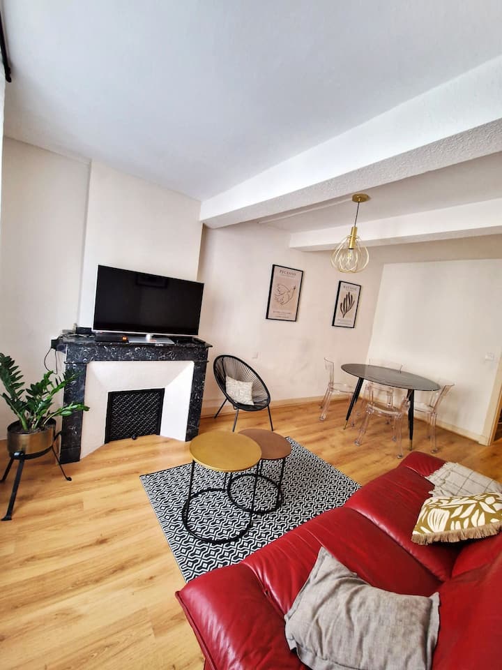 Maison Typique Du Pont Vieux 74 M2 Au Cœur D´albi. - Albi