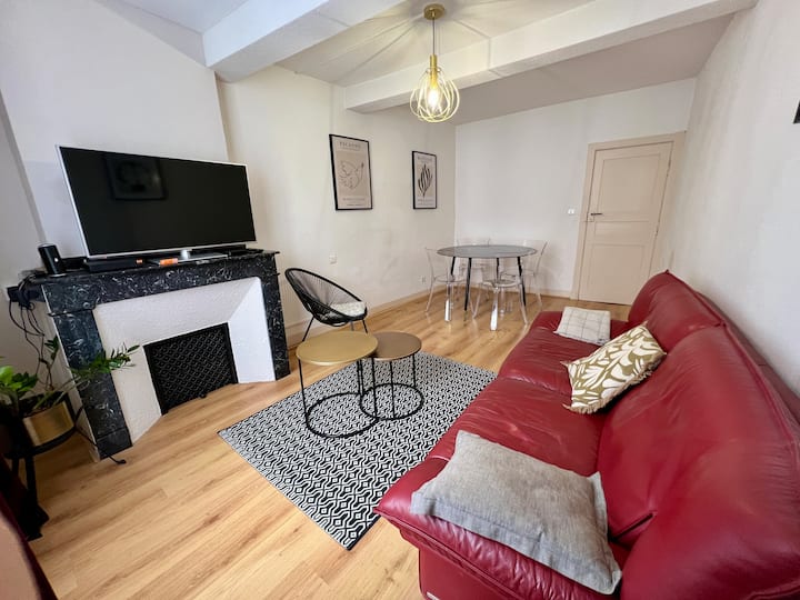 Maison Typique Du Pont Vieux 74 M2 Au Cœur D´albi. - Albí