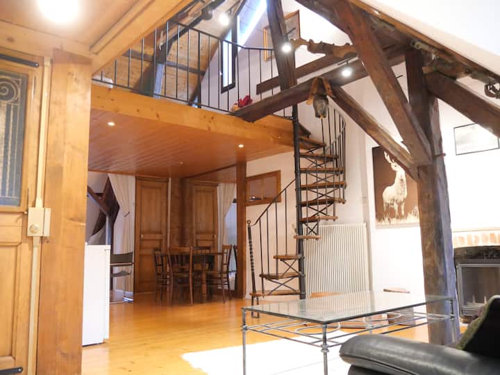 Loft Spacieux - Vieille Ville - à 2 Pas Du Lac - Annecy