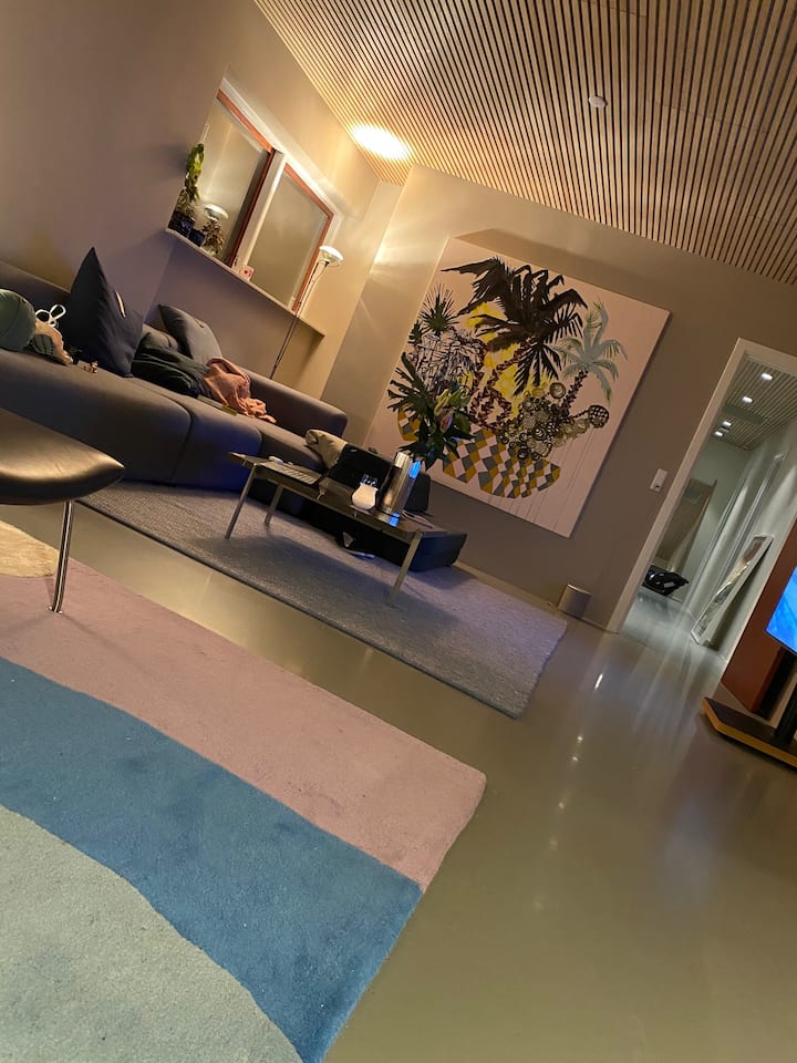 Big Home, Peaceful, Near Forest, Beach And City - Aarhus