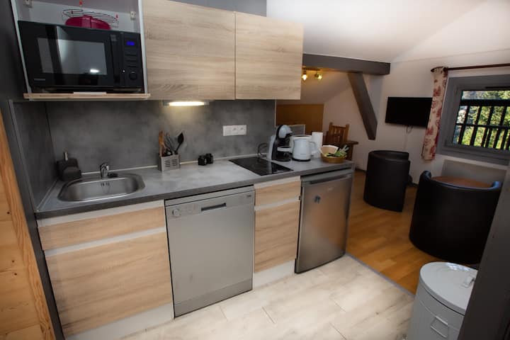 Marmotte Appartement 6 Pers - Cluses