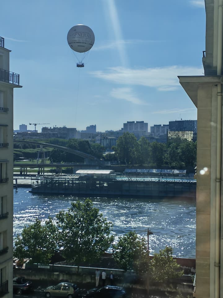 View Sur La Seine - Clamart