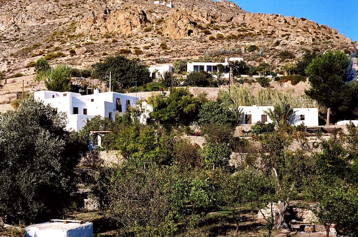 Casa Tradicional Con Piscina (La Palmera) - Níjar