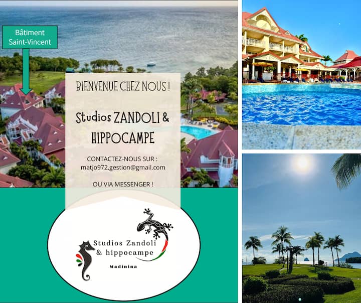 Studio Zandoli P&v - Martinique