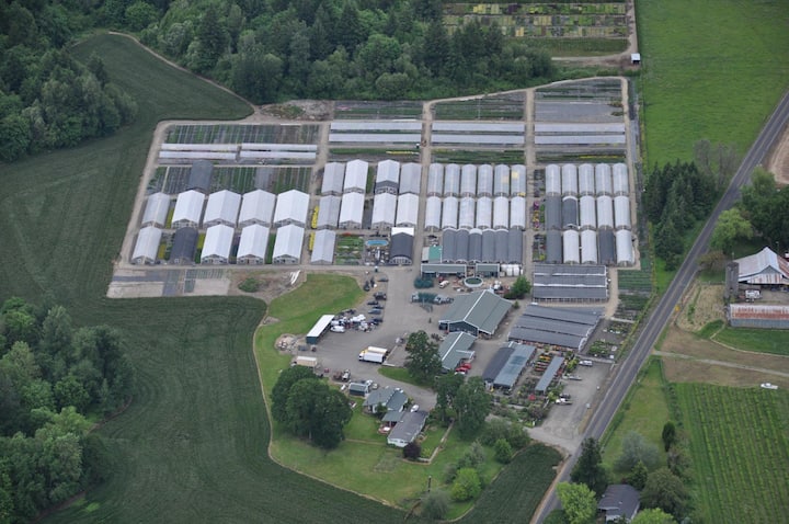 Farm House In 84 Acres Land At Cornelius/hillsboro - Forest Grove, OR