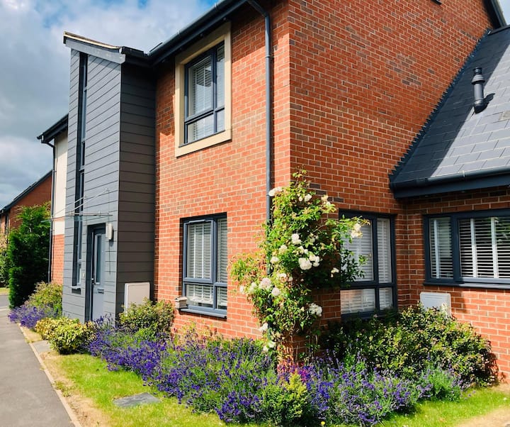 Lavender Guest House - Studio - Rugby
