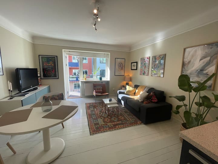 Central, Modern,1 Bedroom Apartment - Oslo
