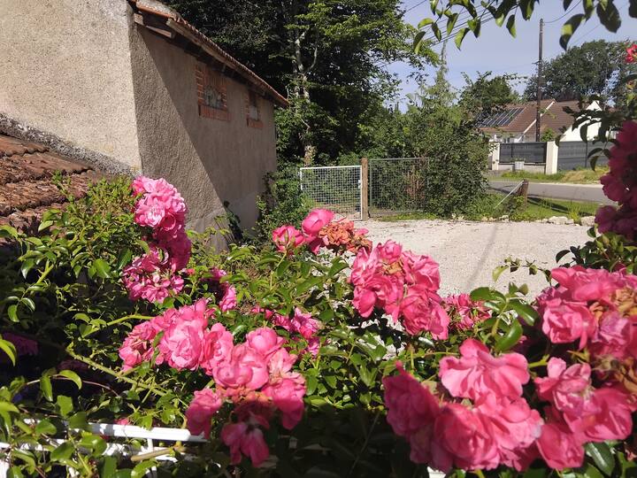 Studio - Châteauneuf-sur-Loire