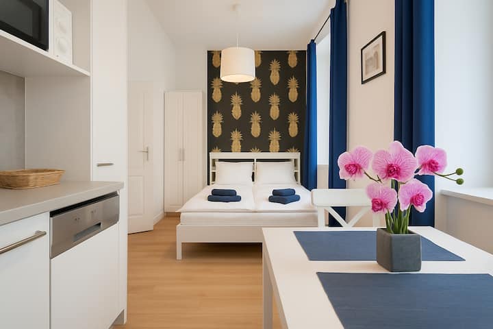 Studio Apartment Schönbrunn - Wien