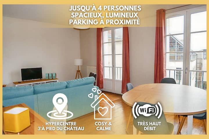 ÉLégant 60m² Lumineux En Hypercentre De Blois - Blois