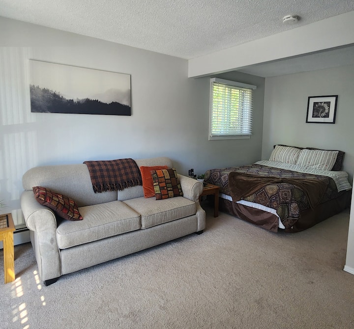 Bright And Cozy Bachelor Suite - Red Deer