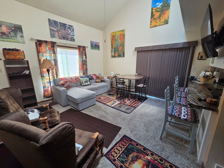 Rocky Mnt Retreat: Skiing, Red Rocks, Festivals - Evergreen, CO