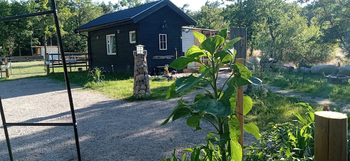 Alpackor Stugan
Karlskrona Skärgård - Karlskrona