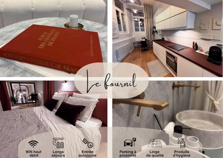 Le Fournil-luxueux Duplex En Petite France - Strassburg