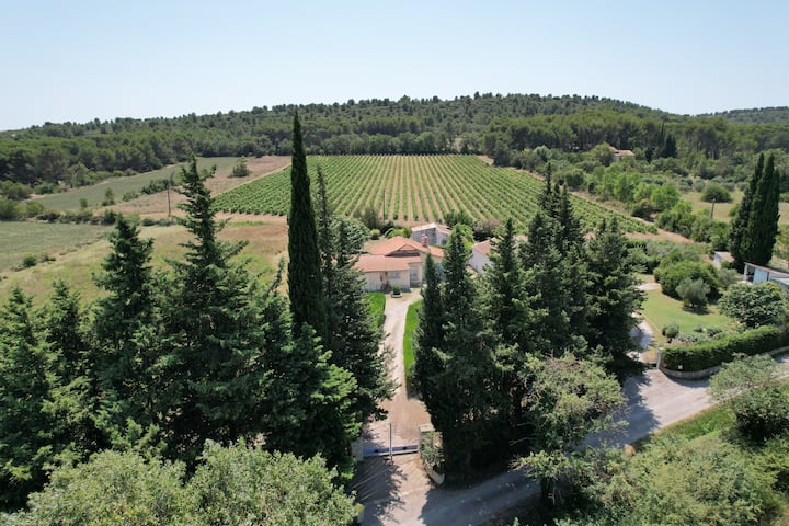 Villa Provençale Rénovée, Piscine - Aix-en-Provence