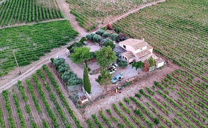 Mas Provençal En Campagne - Aniane