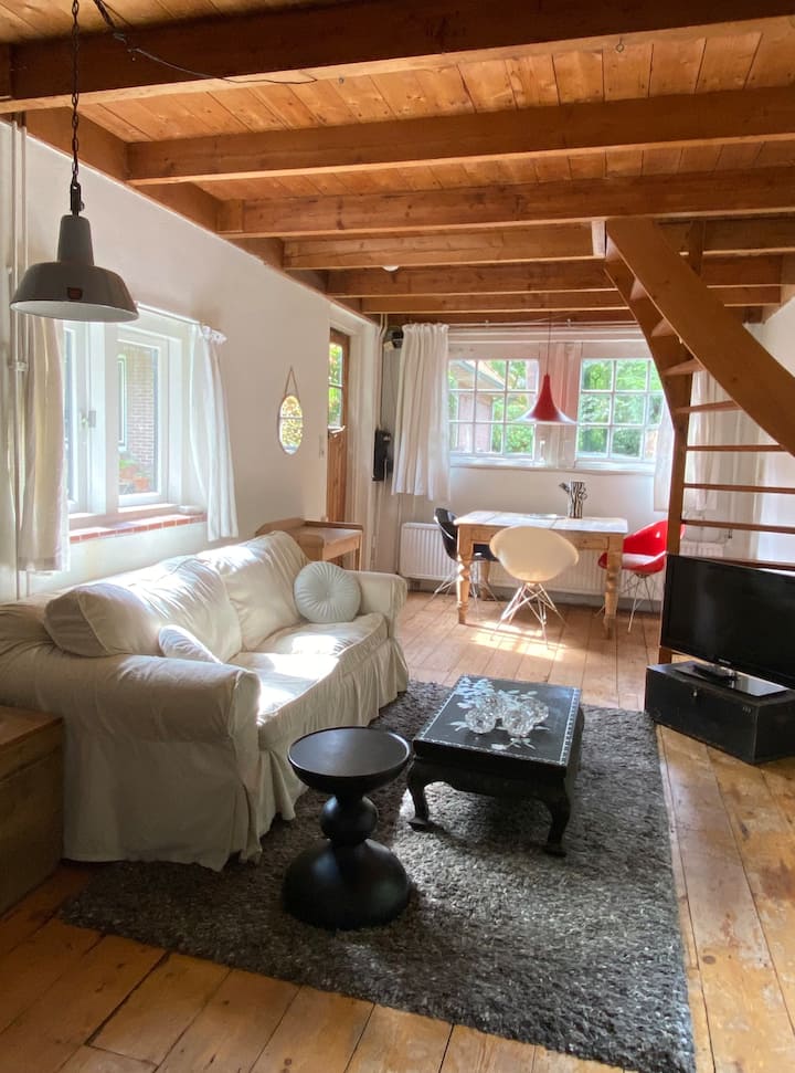 Romantic Cabin With Lovely Garden - Schoorl