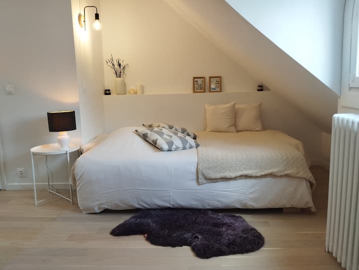 Grand Studio Chic - 6ème Ciel Parisien - Bagneux