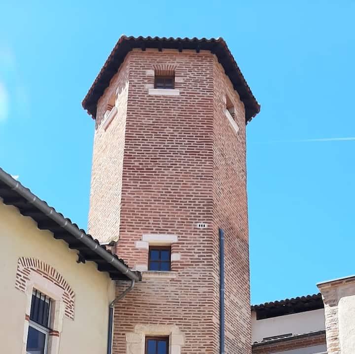 Tour Médiévale Unesco - Albi