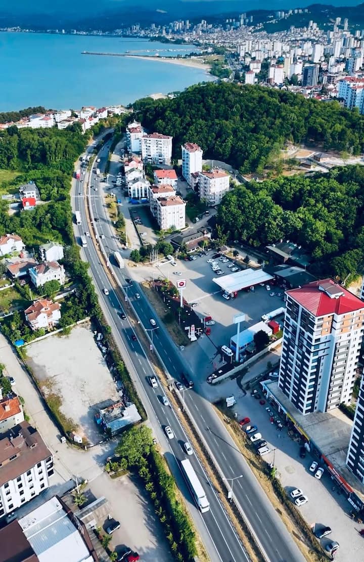 Doğal Kuş Sesi Ile Uyan - Ordu