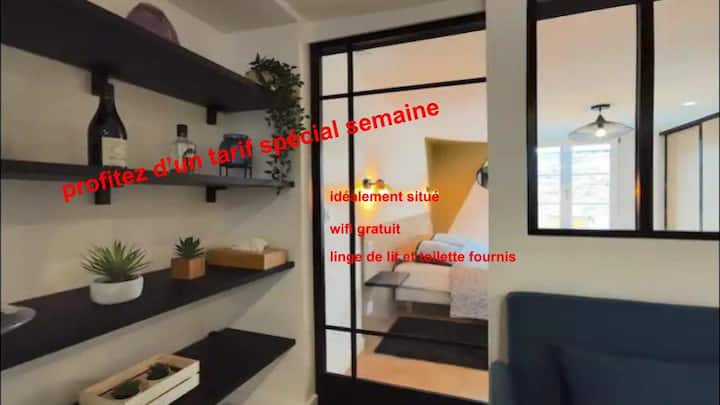 Tôpette La Gigouillette - Angers